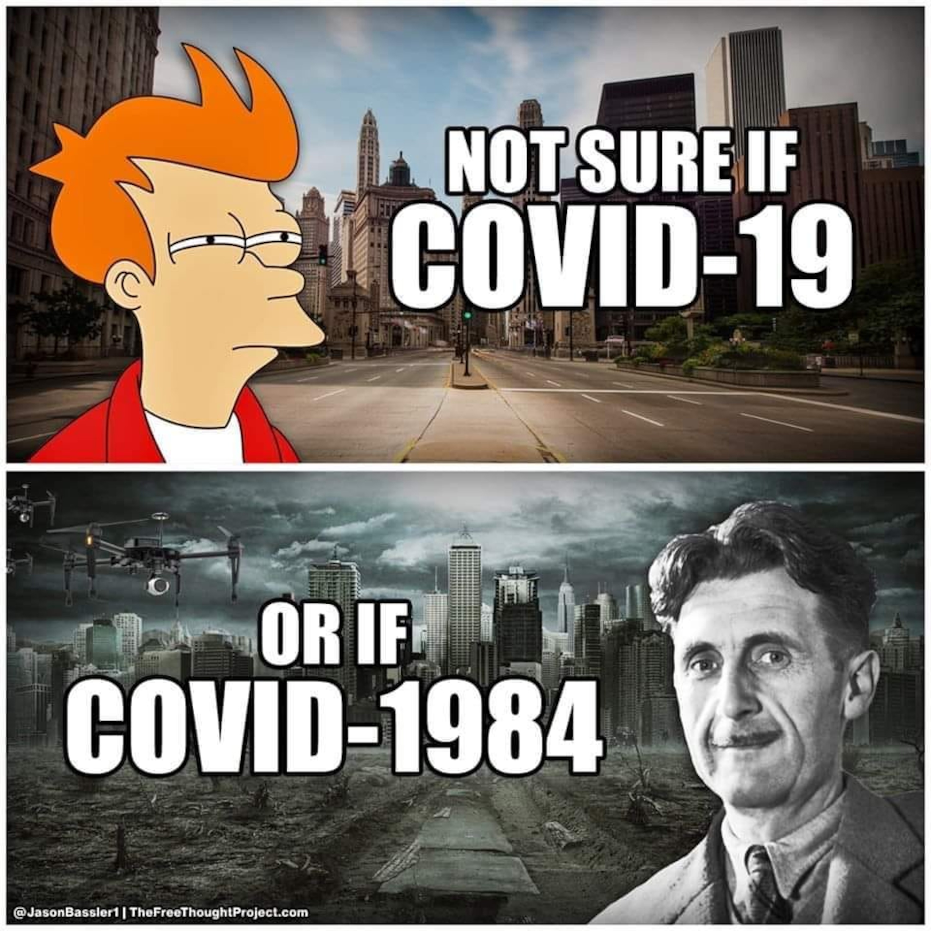 covid-1984 – Swiss Policy Research